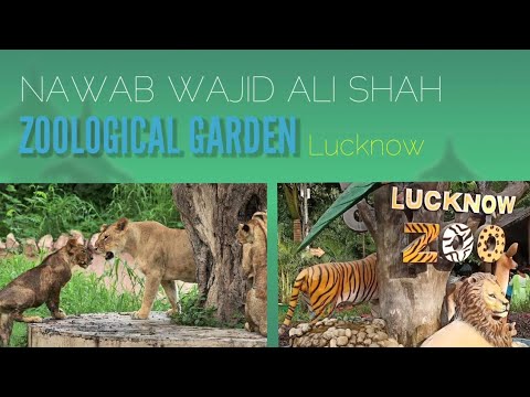 Lucknow Zoo | Nawab Wajid Ali Shah Zoological Park | Overview - YouTube