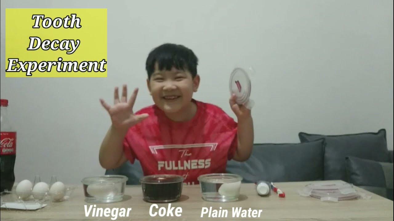 Tooth Decay Experiment | Experiment with Egg shells |Science Fun ...