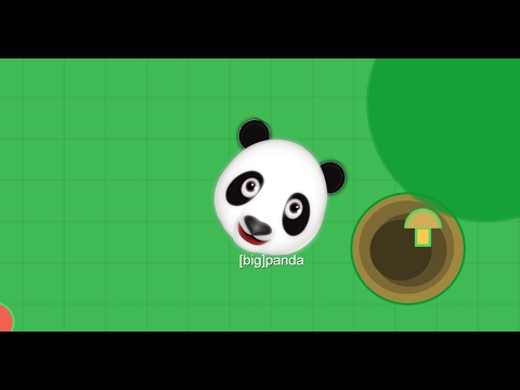 MOPE.IO // NEW PANDA SKIN - YouTube