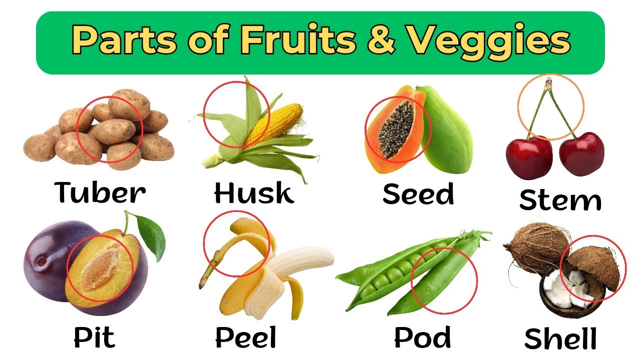 Fruit and Vegetable Parts in English | Vocabulary for Beginners - YouTube