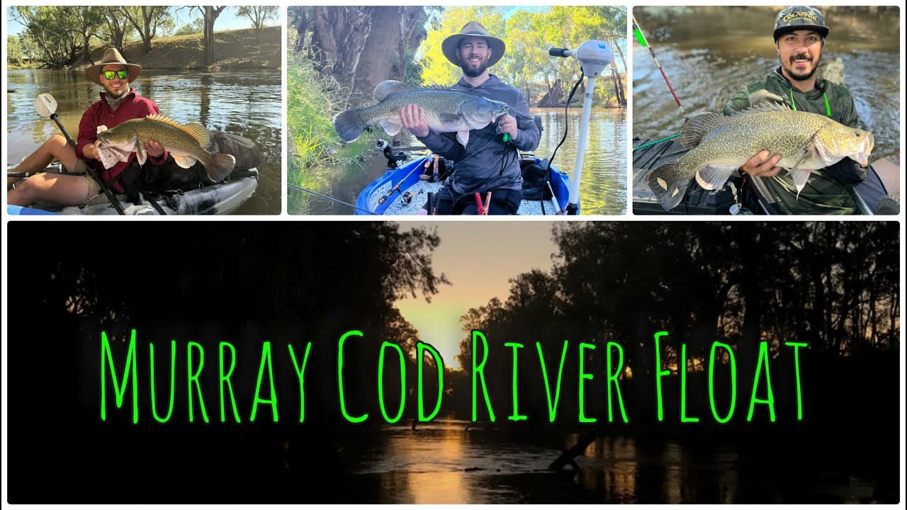 Murray Cod Freshwater Fishing { Kayak River Float } Multi Day Camping ...