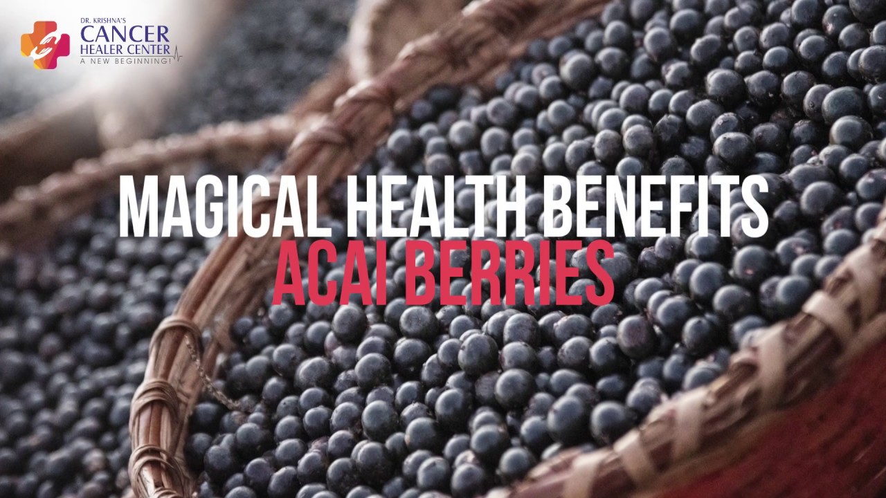 Magical Health Benefits of Acai Berries - Cancer Healer Center - YouTube