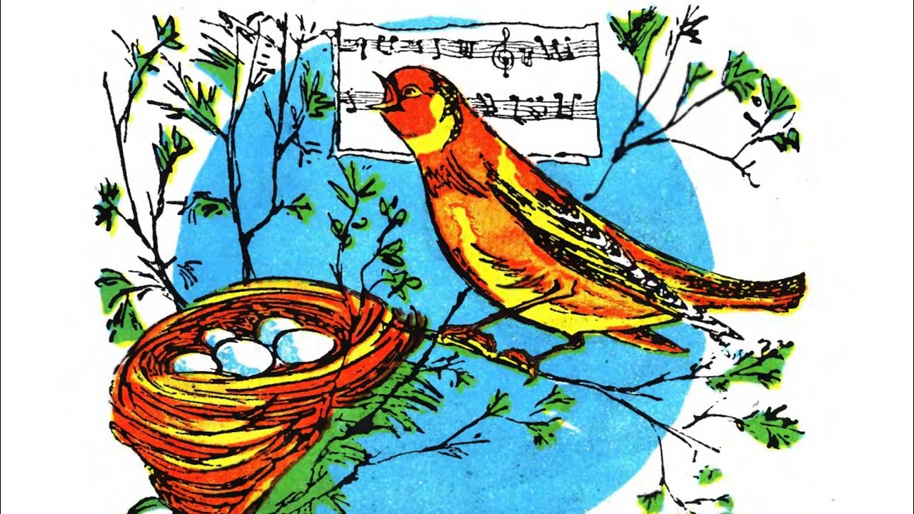 Mutolaa (A1) | 1-matn | صوت البلبل - YouTube