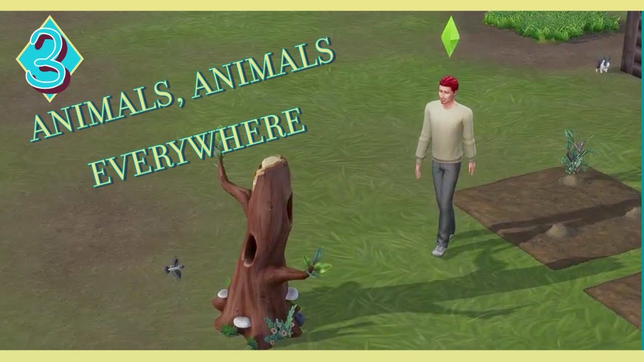 The Sims 4 | Animals Animals Everywhere | Ep 3 | One Week Done!!! - YouTube