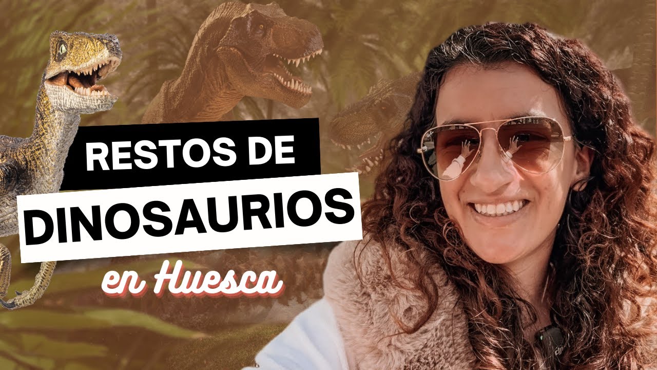 🦖🌟Descubre el Fascinante Mundo de los Dinosaurios en el Museo de Arén ...