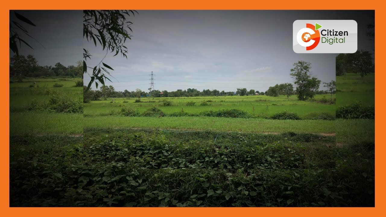 | THE KISII LAND QUESTION | Police say 10 deaths have resulted from ...