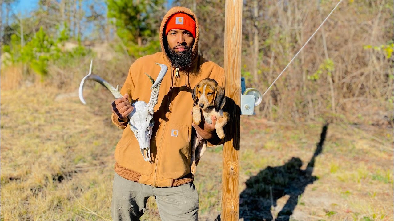 The Collision: Deer Hunters VS Rabbit Hunters | Anderson’s Beagles # ...