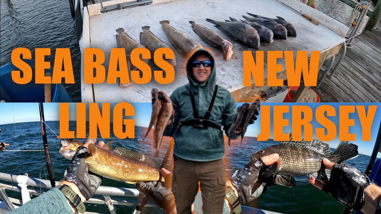 Black Sea Bass & Ling Fishing in New Jersey #fishing #ling # ...
