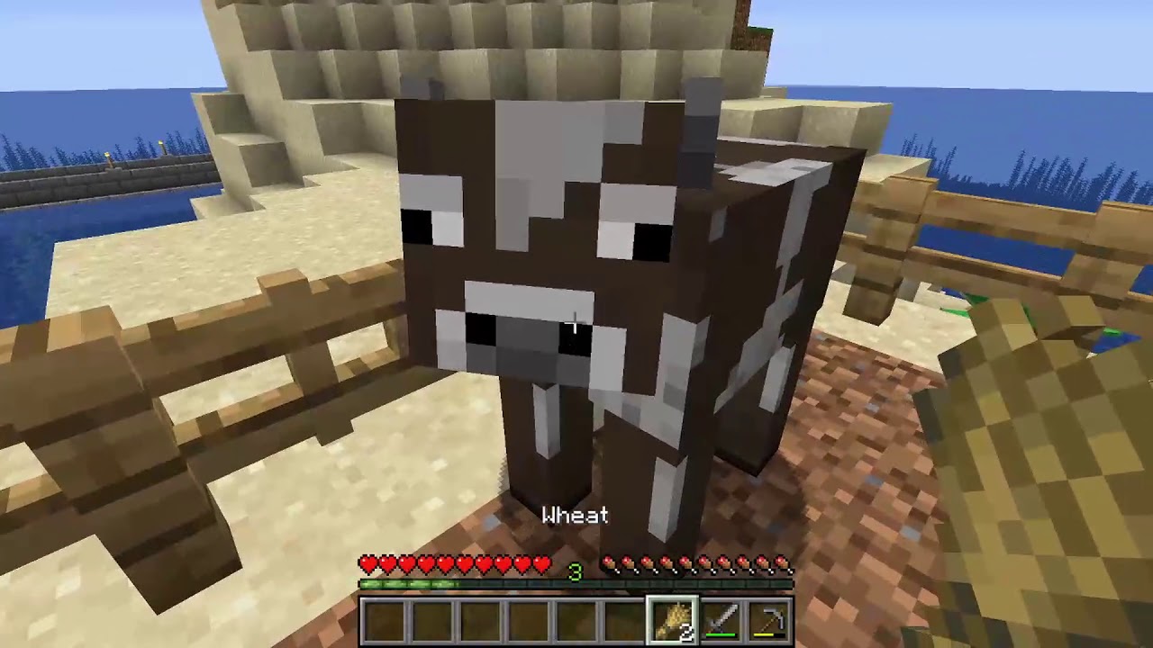 Minecraft But I Build A Cow Farm - YouTube
