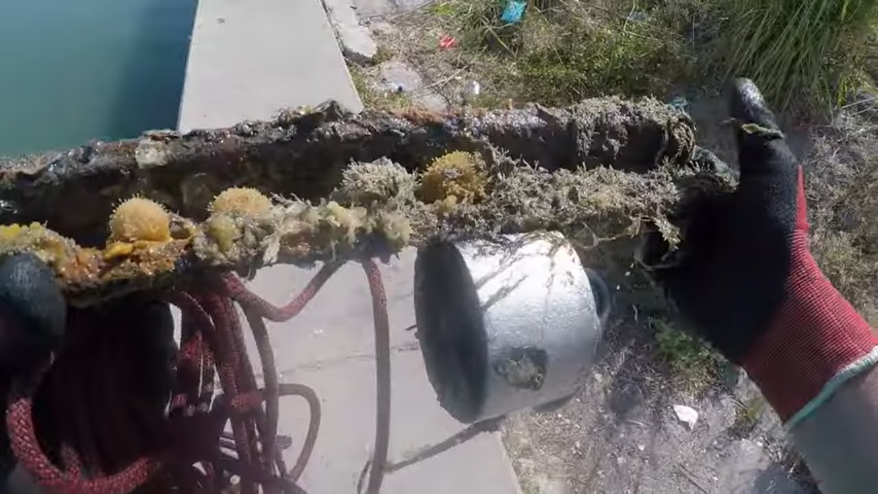 You Won't Believe What Was Found Magnet Fishing Today - YouTube