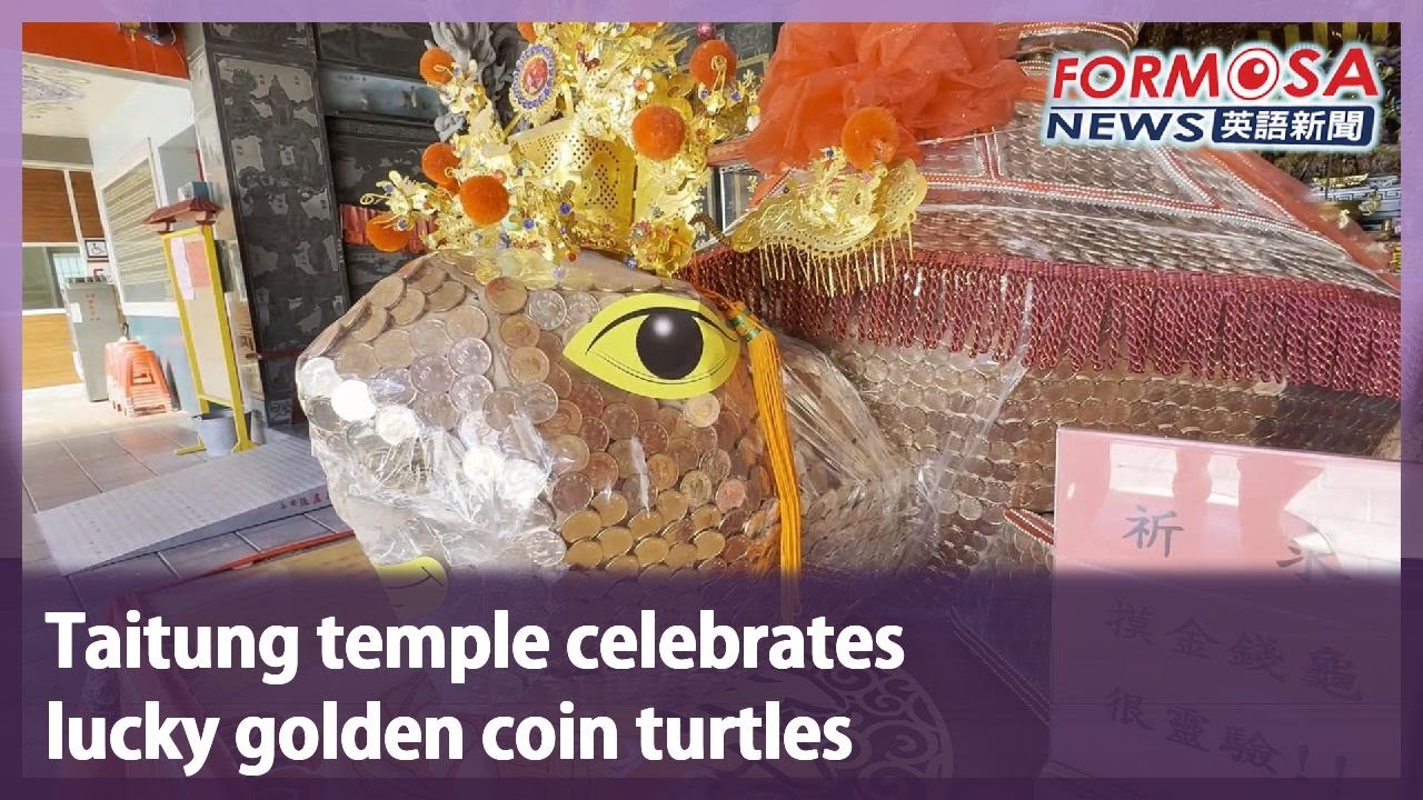 Taitung temple celebrates lucky golden coin turtles｜Taiwan News - YouTube