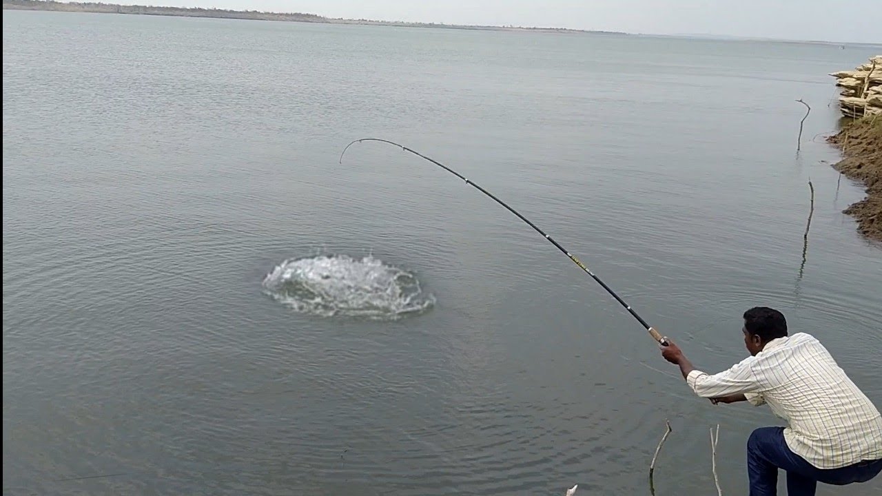 unique Fishing Big black Rohu fishes 🎣🐟 Amazing FISHING|Catching ...