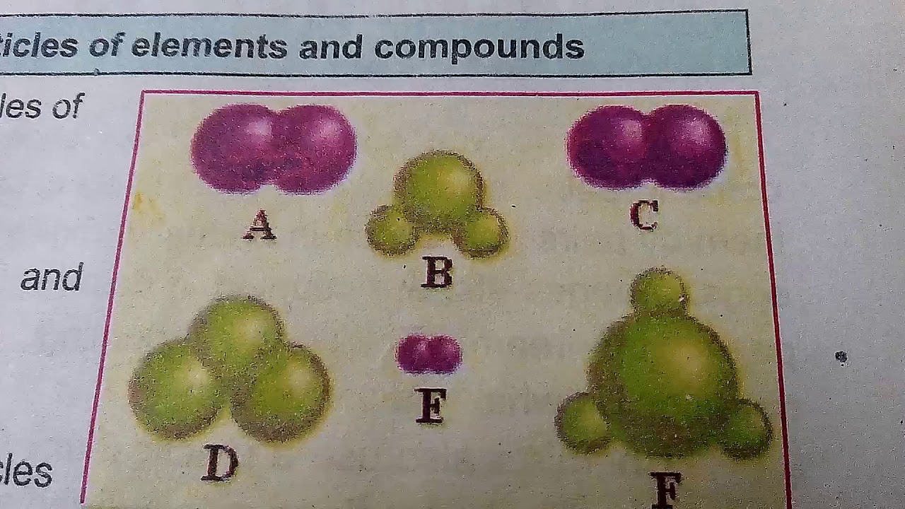 Chemistry Grade 8 chapter #1(representative particles of elements and ...