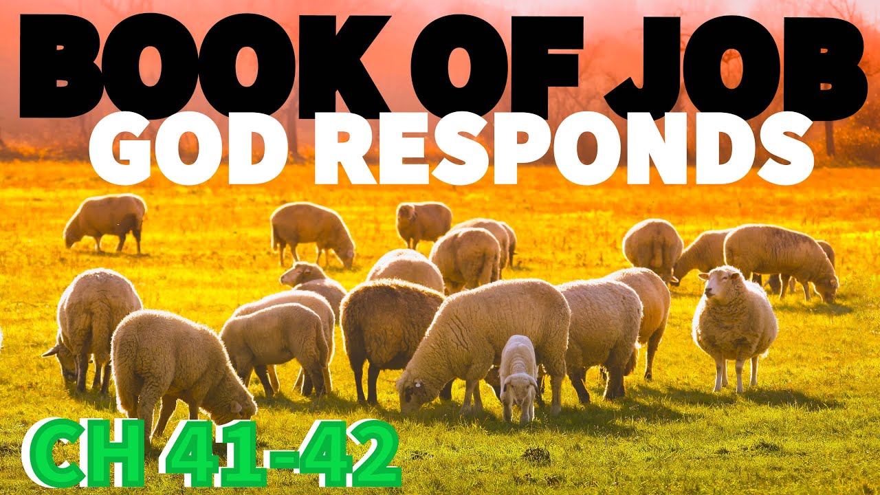 Book of Job Chapter 41-42: Read the Bible with me! - YouTube