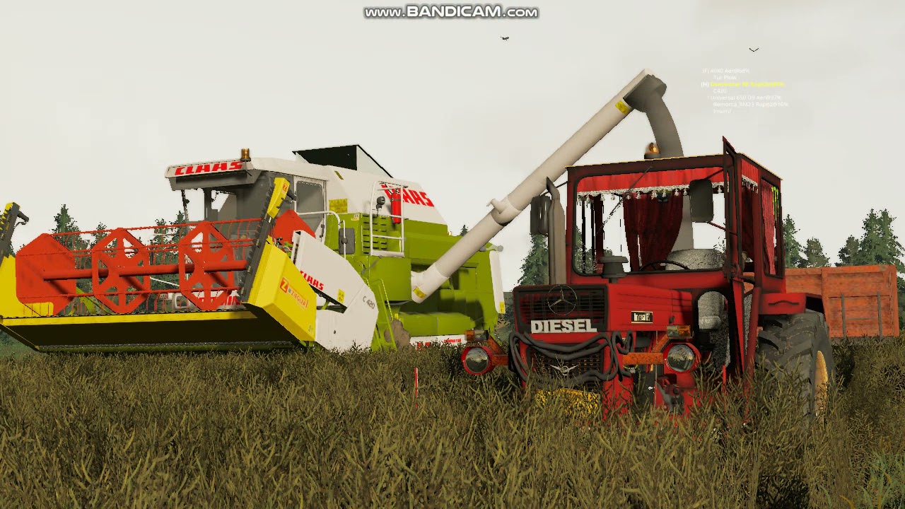 Sapte Case/#4/Recoltez Rapita si am un nou Universal in Ferma! - YouTube