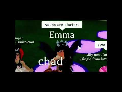 Flamingo saying NOOB compilation - YouTube