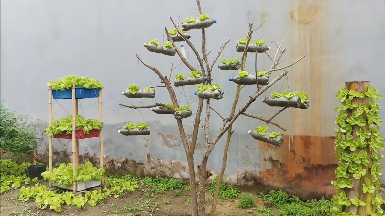 Just need a few plastic bottles and tree branches to create a garden in ...