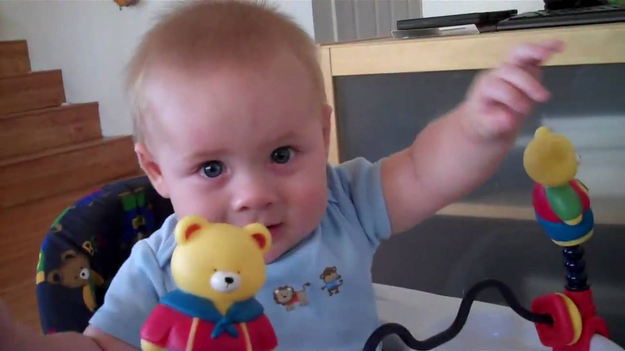 Happy Casper in his walker - YouTube