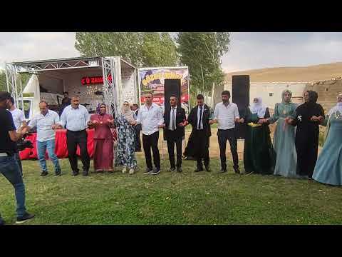 Van düğünleri [GÖZDE MÜZİK VAN] Ömer Ak  P Renas Roni  Hozan İsa 2024 Full HD