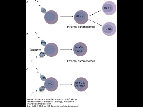 Definition of some embryology terminologies; Triploidy, Dispermy ...
