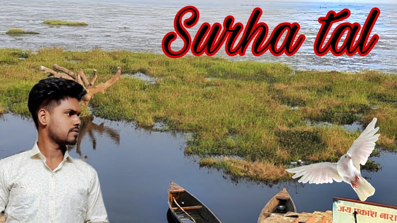 Surha tal (सुरहा ताल) Ballia || Jai Prakash Narayan Bird Sanctuary 🕊️🦚 ...