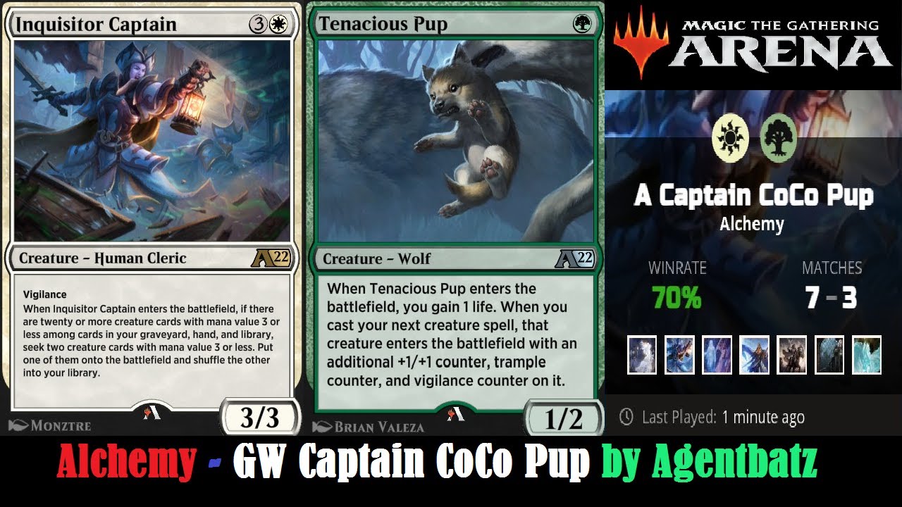 GW Inquisitor Captain CoCo Pup Life gain | Ranked ALCHEMY | Agentbatz ...