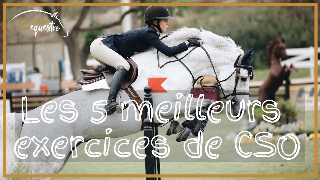Les 5 meilleurs exercices de CSO pour mécaniser son cheval à l'obstacle - YouTube