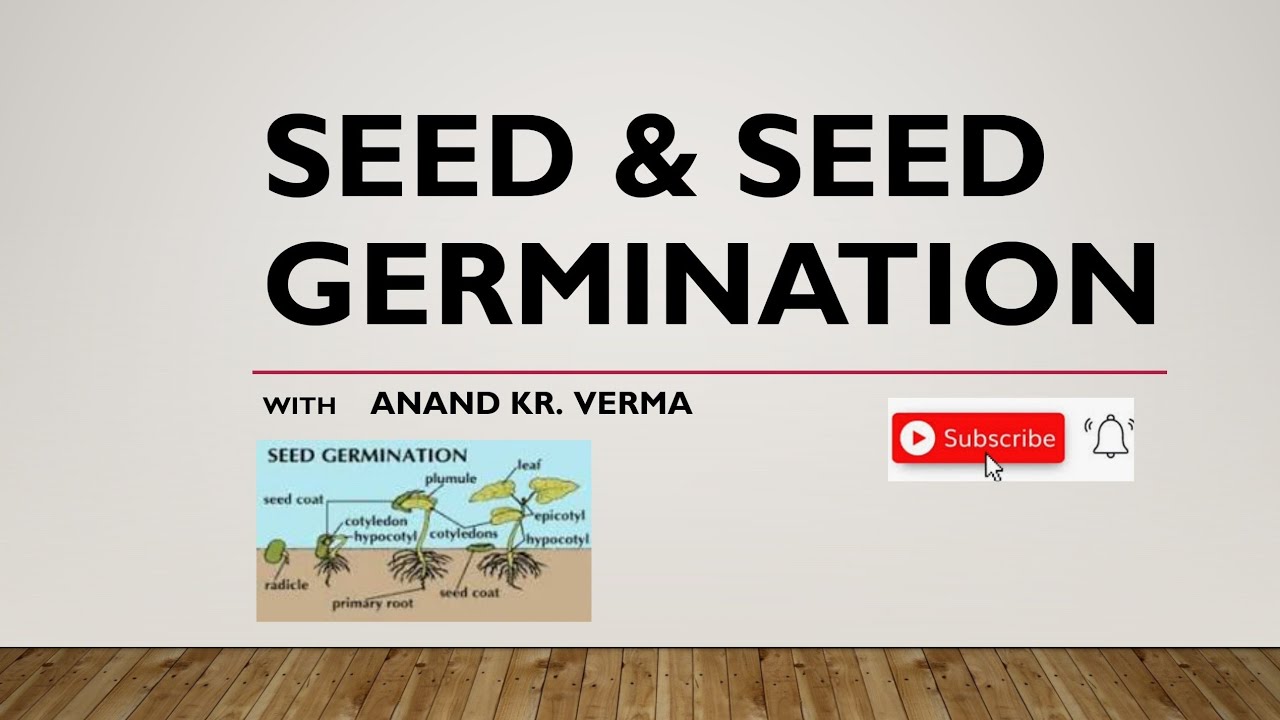 Seed and Seed germination || Fundamentals of Agronomy, Horticulture and ...