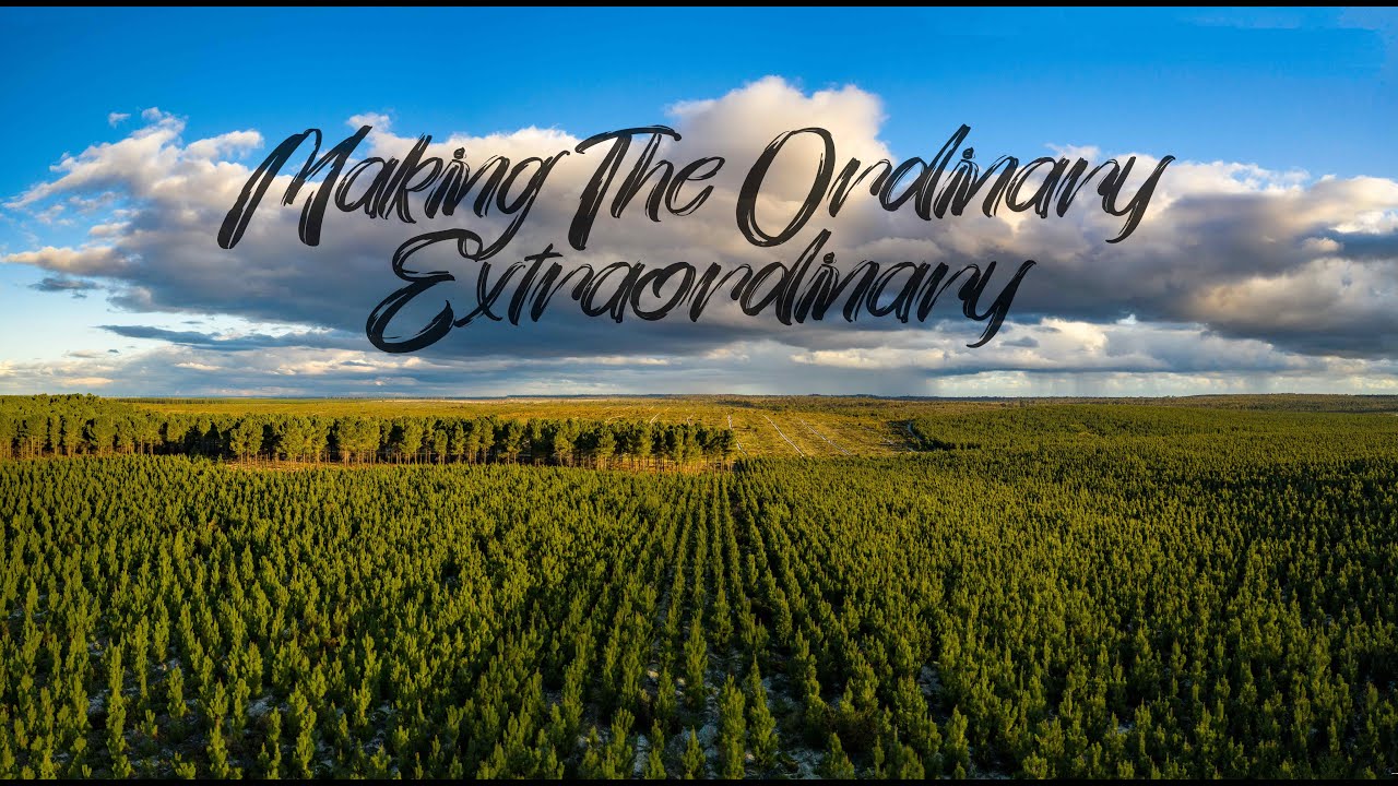 Making the ordinary extraordinary//Gnagara Pines - YouTube