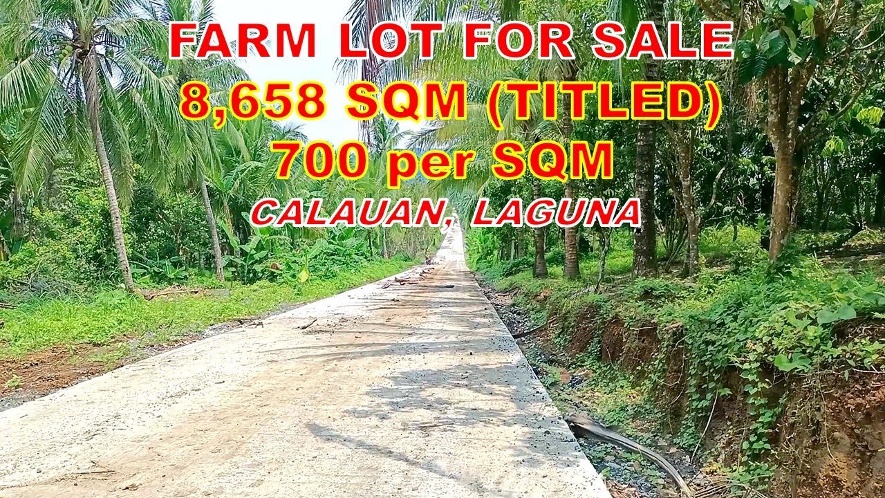 FARM LOT FOR SALE ( PROPERTY #137) 8,658 SQM. CALAUAN, LAGUNA - YouTube