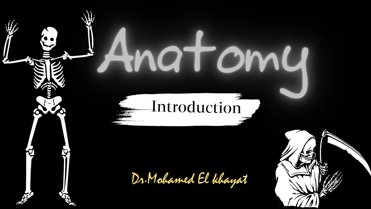 Introduction - Anatomy (2) - YouTube Introduction - Anatomy (2) - YouTube