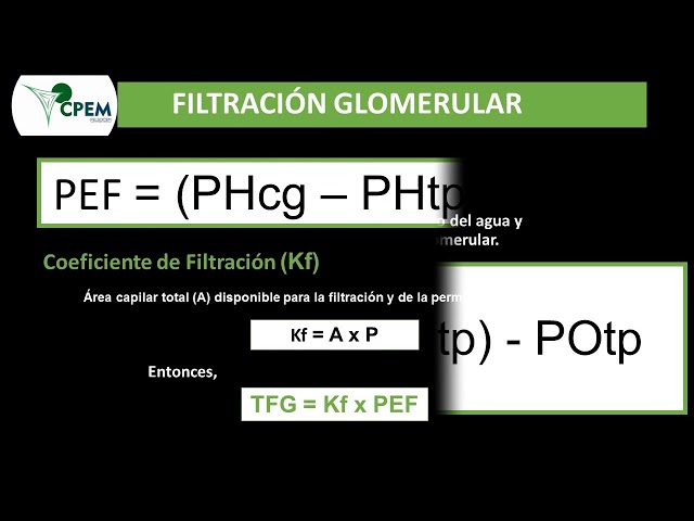 Uso De Formulas Para El Calculo De La Tasa De Filtrado Vista De