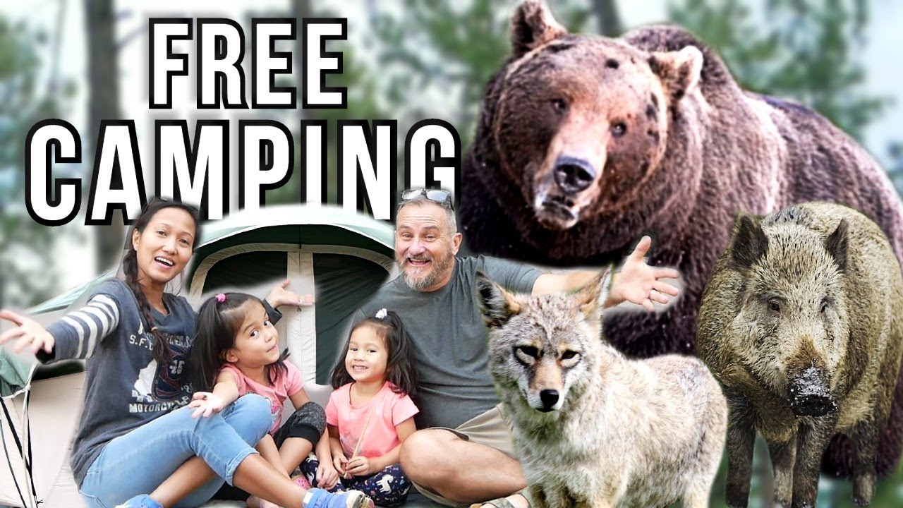 FIL-AM FAMILY FIRST TIME CAMPING | WE HEARD CREEPY SOUNDS AT NIGHT ...