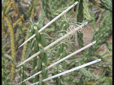 Making Primitive BONE NEEDLES - YouTube