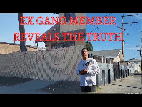 Inside Los Angeles Gangs/Inside Los Angeles Gang Crisis/Ex Gang Member ...