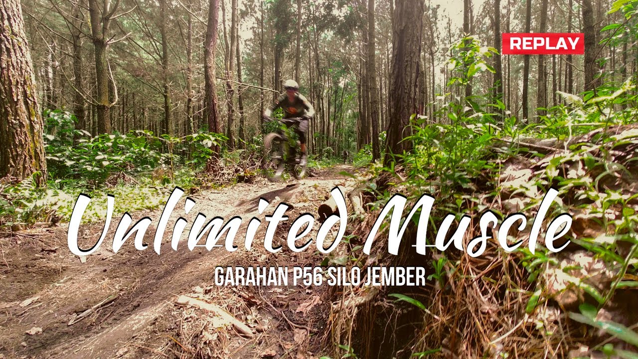 track p56 garahan 2 UNLIMITED MUSCLE MTB REPLAY - YouTube