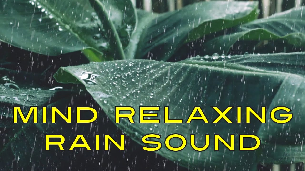 Rain Sounds for Deep and Restful Sleep | Sleep Instantly with Relaxing ...