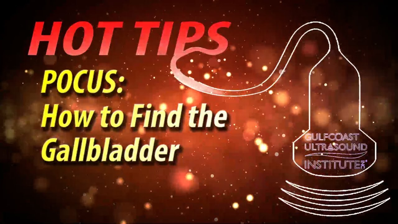POCUS How to Find the Gallbladder - YouTube