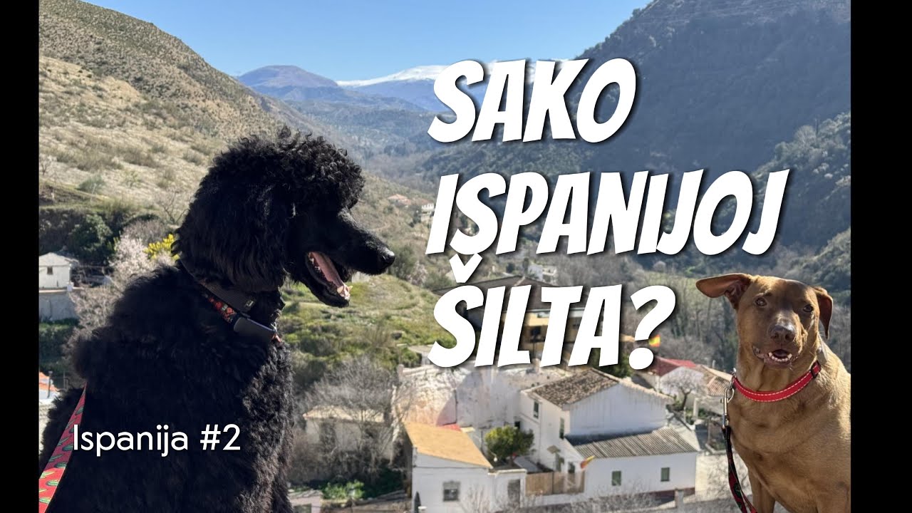 Ispanija #2 Kelionė į Granadą ir Cabo de Gata: apleista aukso kasykla ...