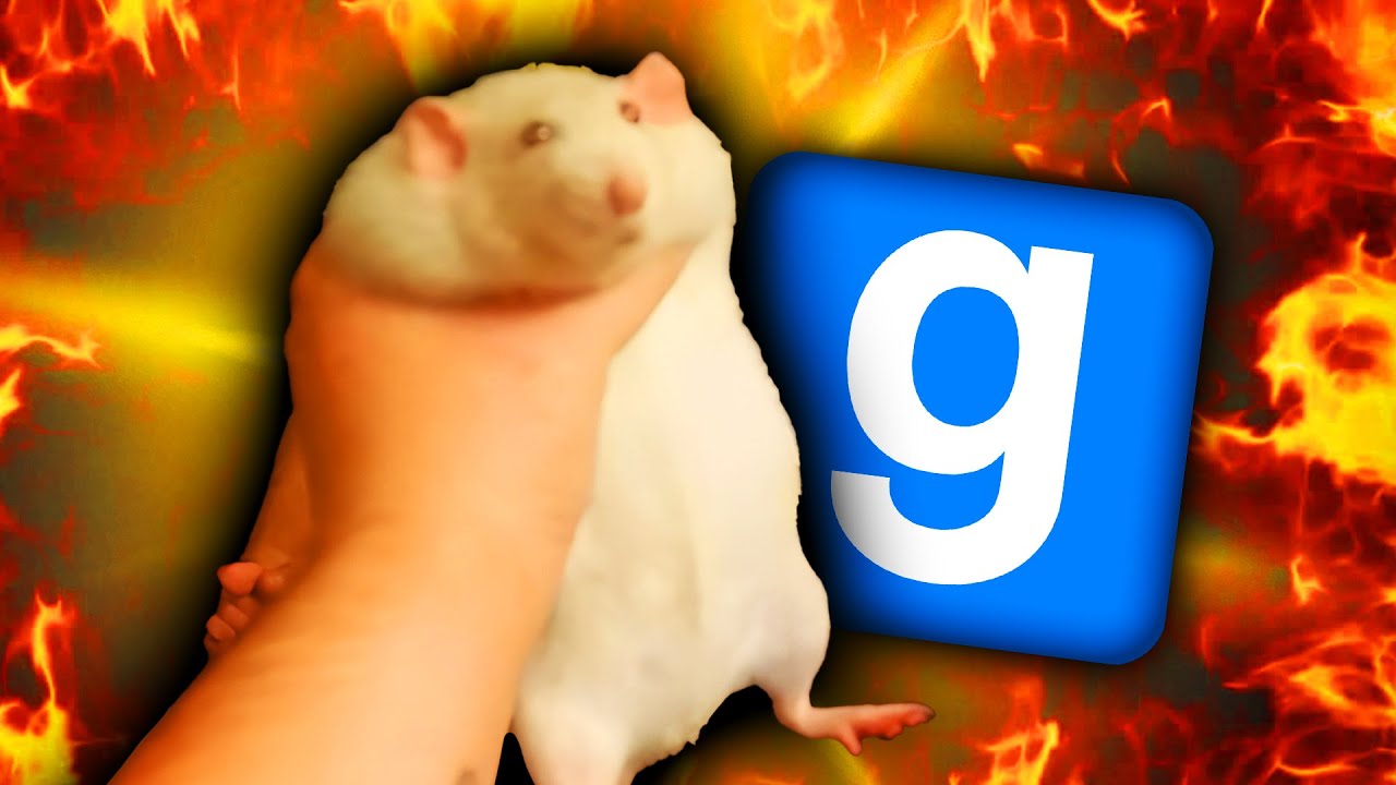 Robert's the Rat's Reign of Terror - YouTube