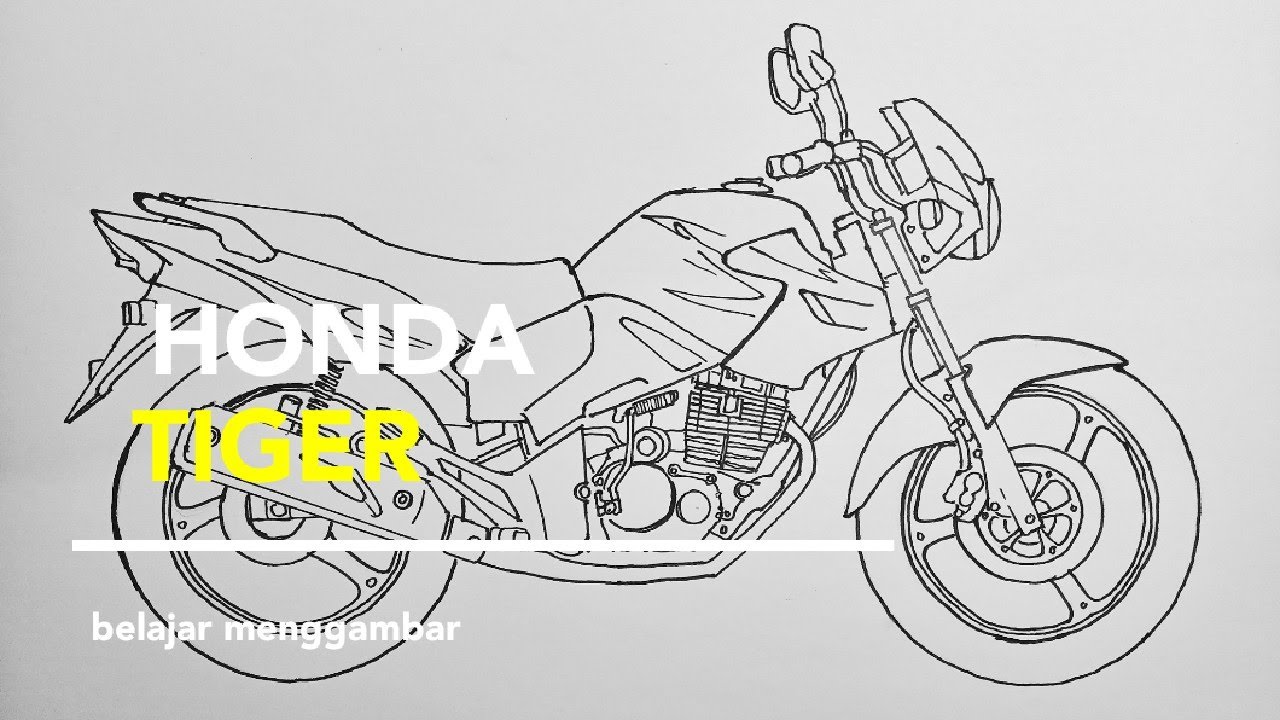 belajar menggambar sepeda motor honda tiger - YouTube