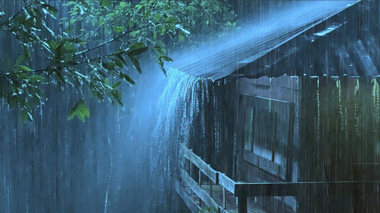 Real Rain Sounds ( Live Rain 24/7 ) - Sleep Instantly with Thunderstorm ...