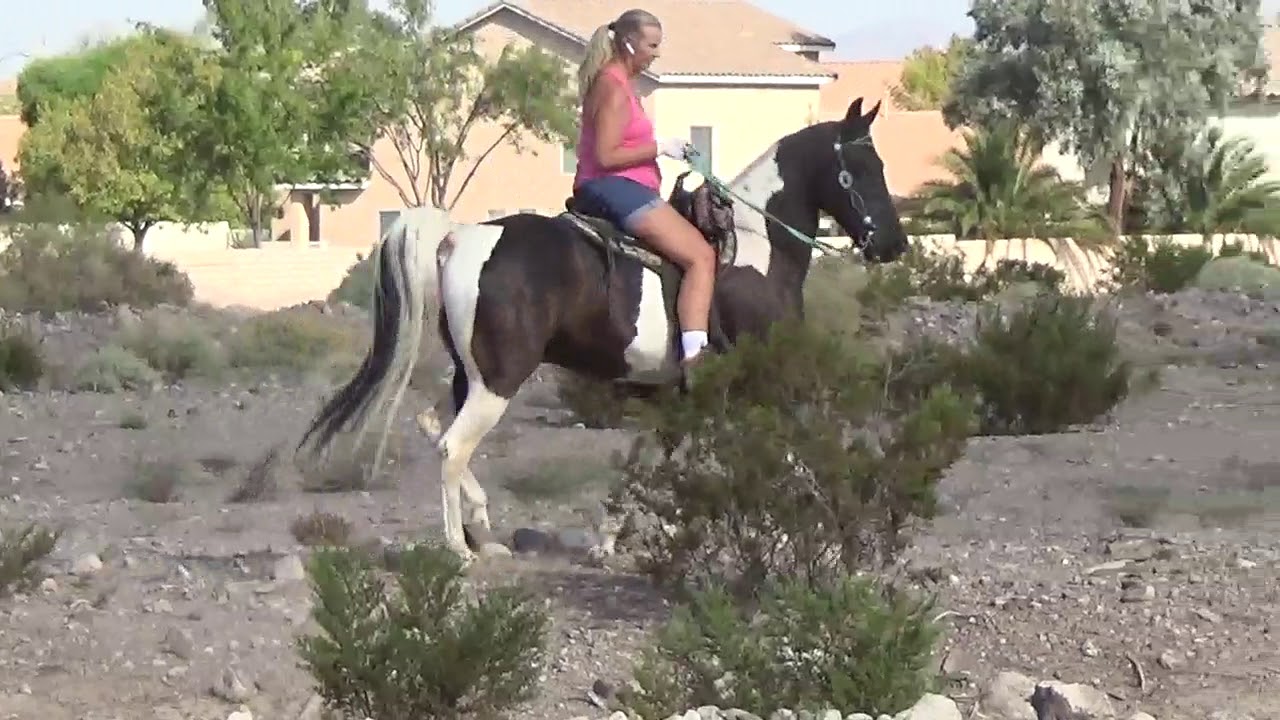 Rockstar Walking calmly through rough terrain - YouTube