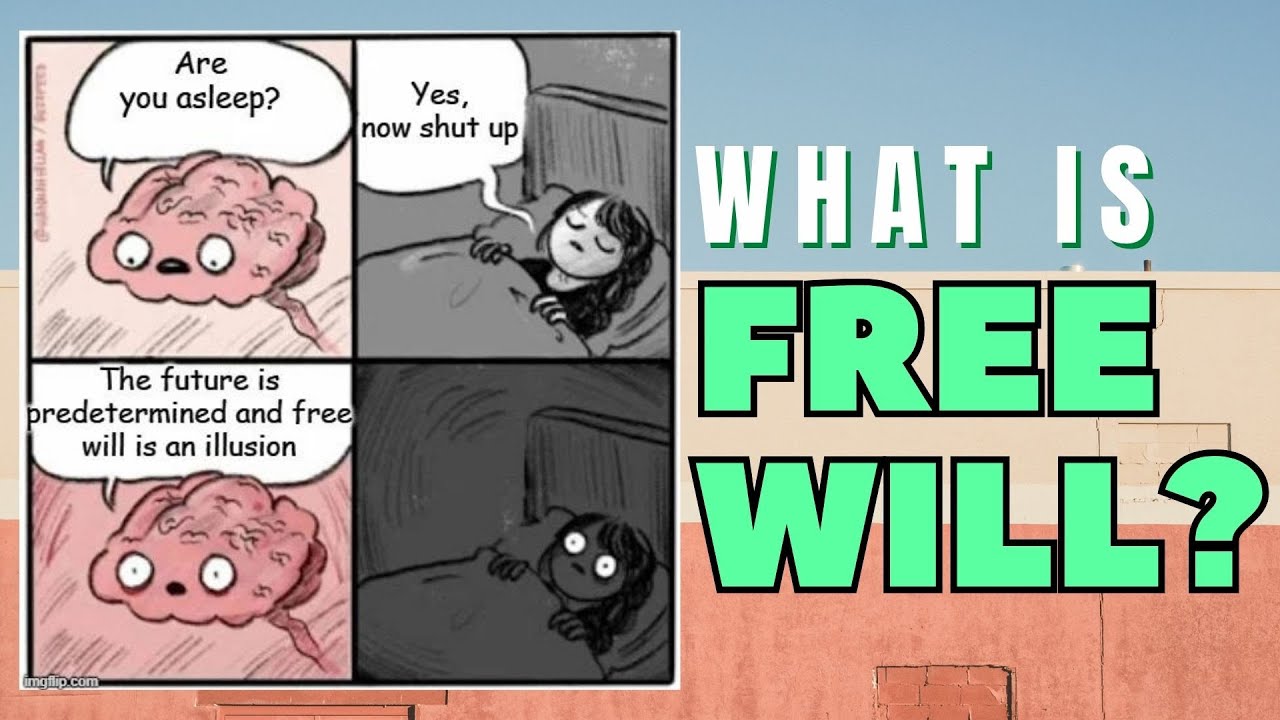 What is free will? #podcastclip #philosophy #freewill #determinism # ...