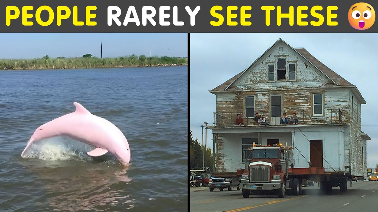 Curious Photos Of Rare Things Most People Never Get To See 😲 - YouTube