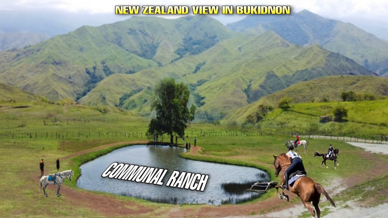 COMMUNAL RANCH NEW ZEALAND IN IMPASUGONG BUKIDNON, TROPANG BUKIDNON TV ...