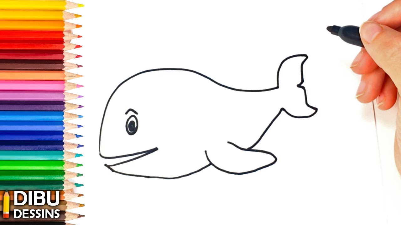 Comment dessiner une Baleine | Dessin de Baleine - YouTube