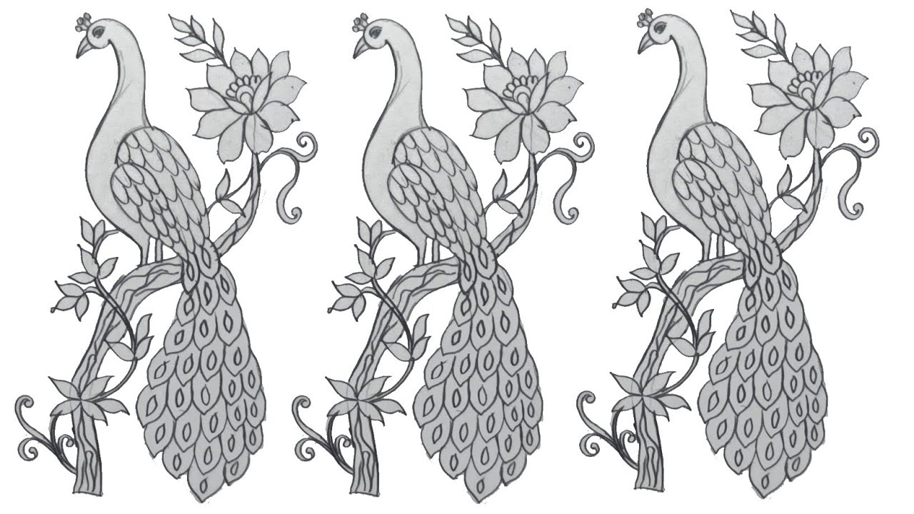 Step-by-Step Peacock Drawing Tutorial | How to Draw a Stunning Peacock ...