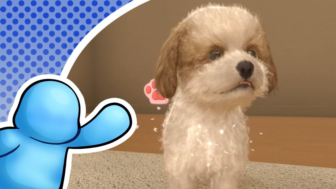 [CHIBLEE] Finding a new little friend .. - YouTube