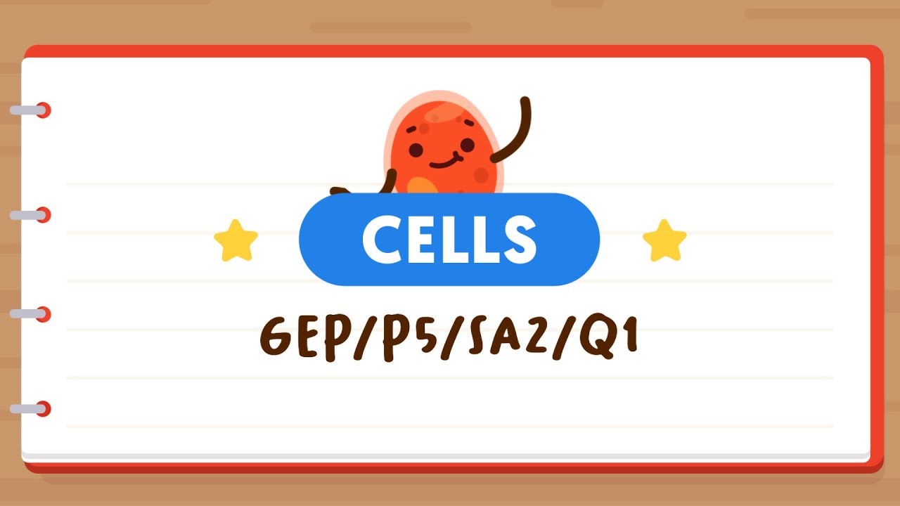 PSLE SCIENCE MADE SIMPLE EP121 | Cells | Which Is The Correct ...